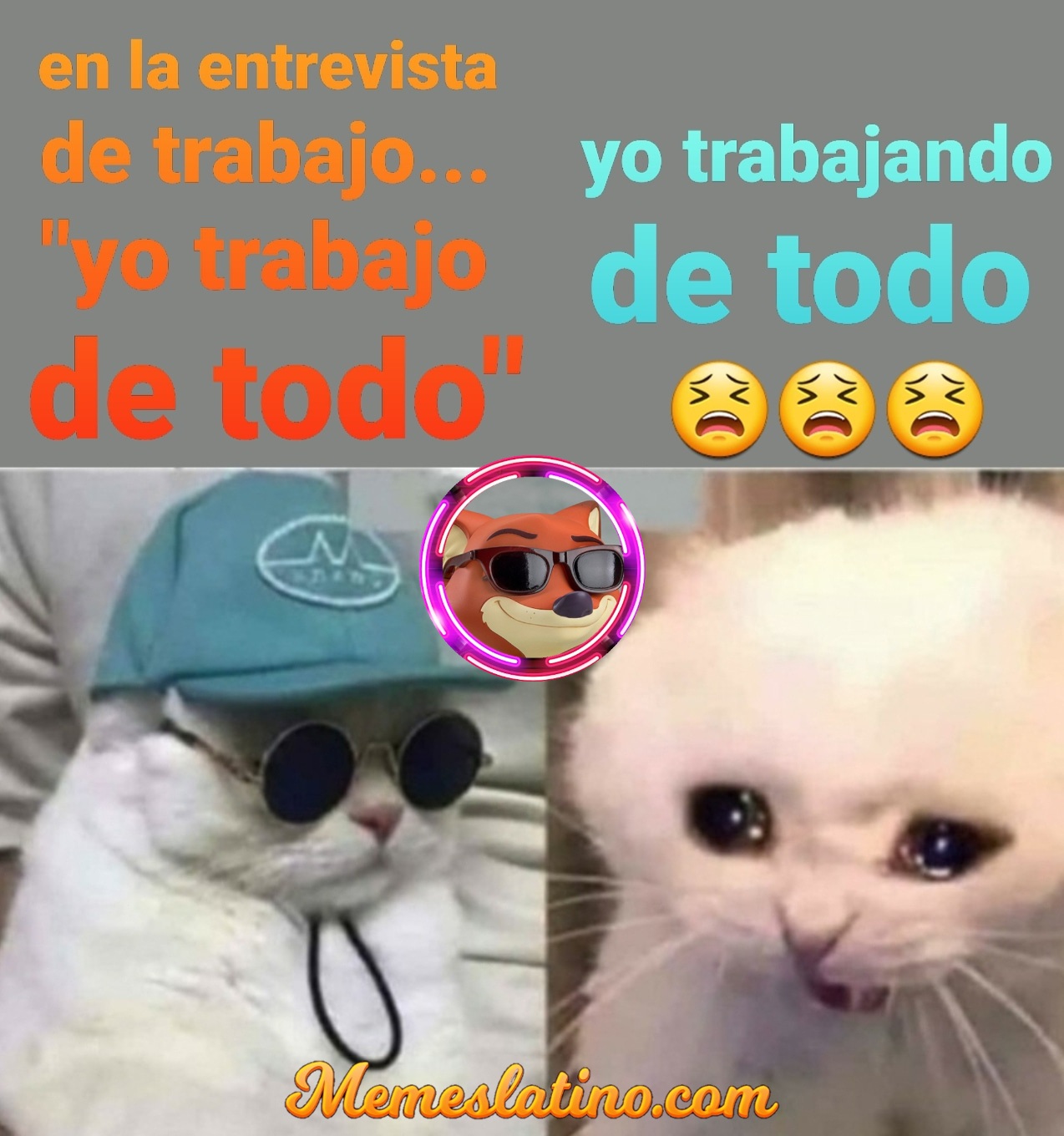 - Memes Latino